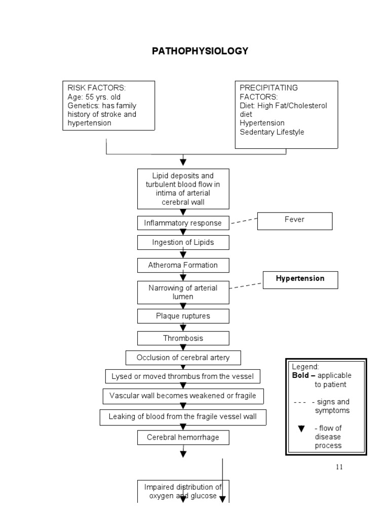 3 Pathophysiology | PDF | Blood Vessel | Stroke