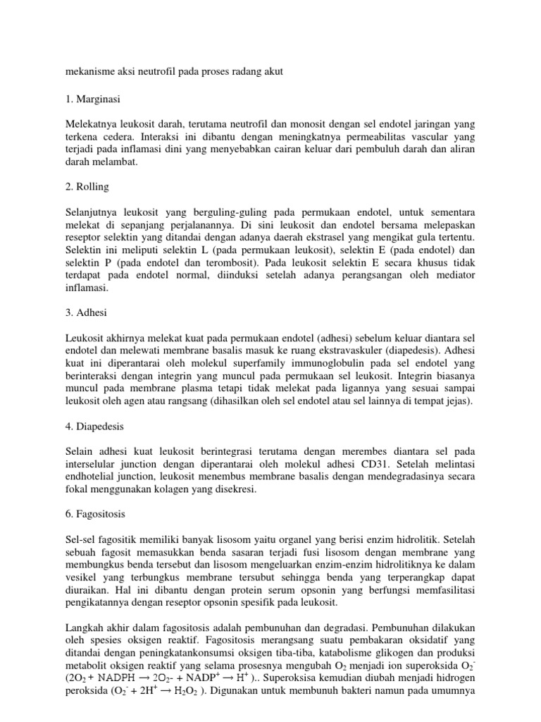 Mekanisme Aksi Neutrofil Pada Proses Radang Akut | PDF