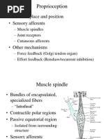 Clasp-Knife Reflex in Upper Motor Neuron Lesions | PDF