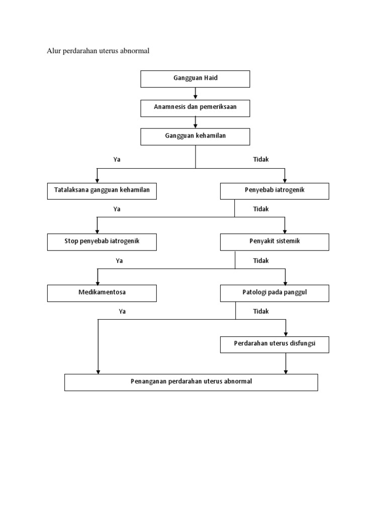 Alur Perdarahan Uterus Abnormal | PDF