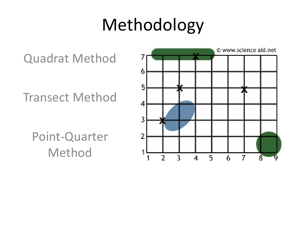 Methodology: Quadrat Method Transect Method Point-Quarter Method | PDF
