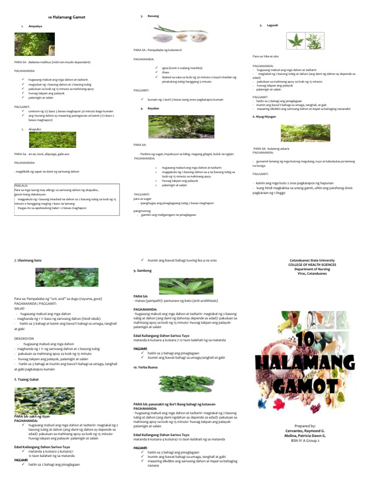 10 Halamang Gamot | PDF