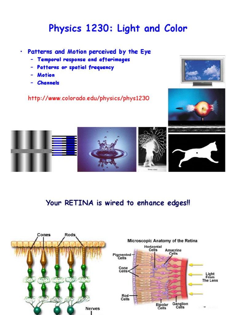 15 Vision Time and Space | PDF | Neuropsychological Assessment | Light