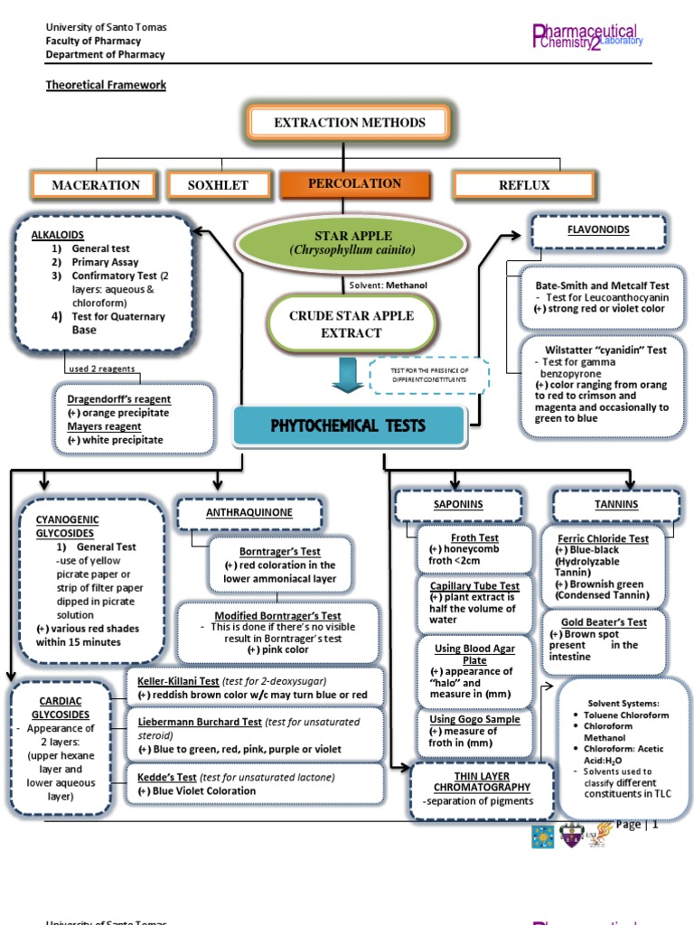 Theoretical Framework Final | PDF