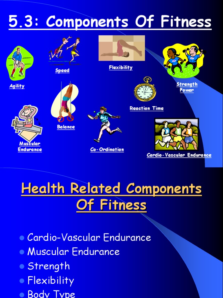 Key Components of Fitness Explained | PDF | Muscle | Physical Strength