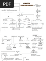 Diacap-Pro B Braun Broshure PDF | PDF | Dialysis | Kidney
