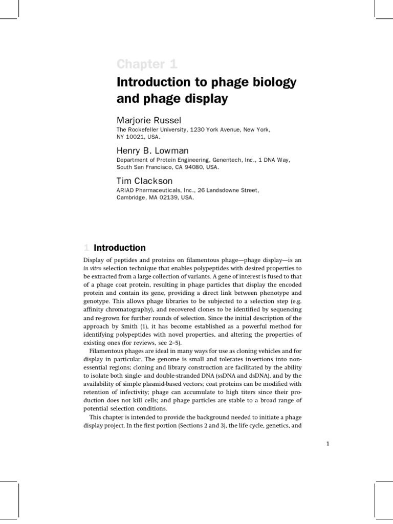 Phage Display | PDF | Vector (Molecular Biology) | Bacteriophage