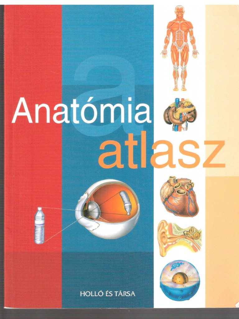 Anatómiai Atlasz