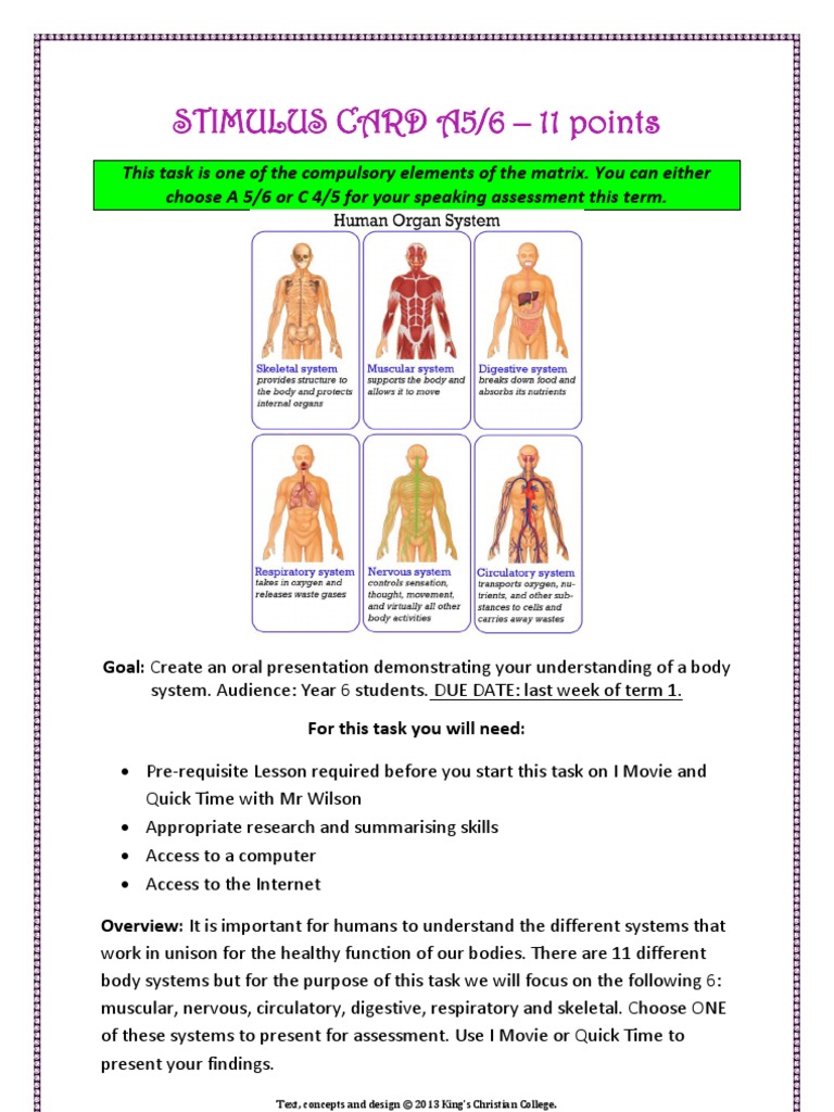 Human Body Matrix a 5 and 6 | Rubric (Academic) | System