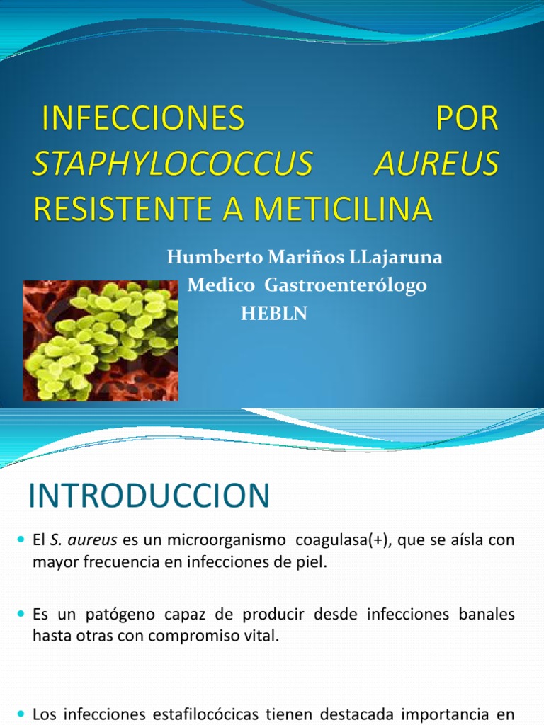 Staph y Loc Cocus | PDF | Staphylococcus Aureus | Staphylococcus aureus resistente a la meticilina