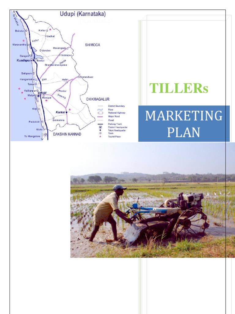 Marketing Plan For Tillers | PDF | Rice | Subsidy