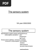 INCAT Sensory Sum Score Guide | PDF | Anatomical Terms Of Location | Finger