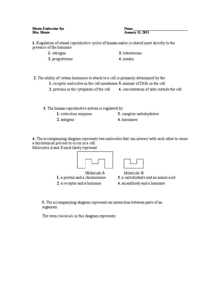 Endocrine System Regents | PDF