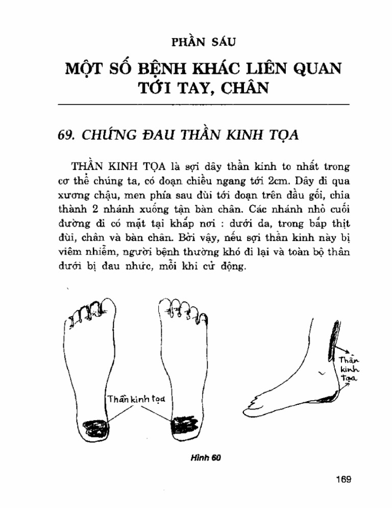 Bam Huyet Long Ban Chan - p9 | PDF