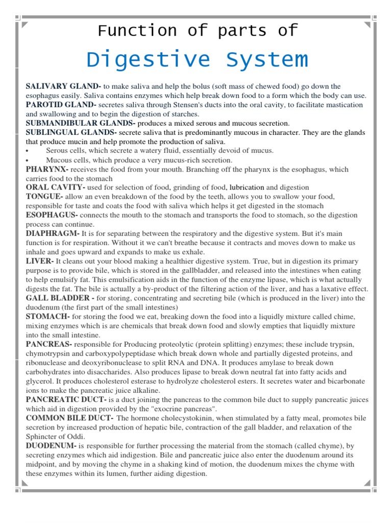 Function of Parts of Digestive System | PDF | Digestion | Large Intestine