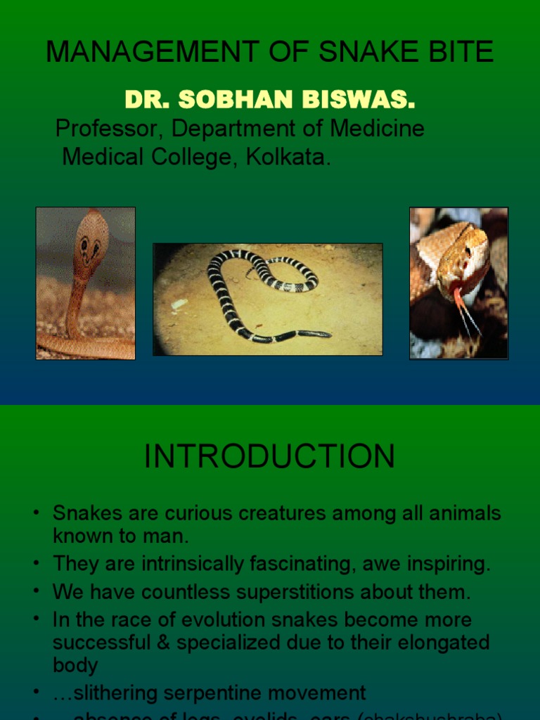 Snake Bite Management | PDF | Snake | Neuromuscular Junction