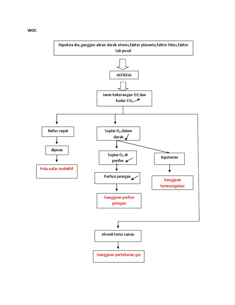 WOC Asfiksia | PDF