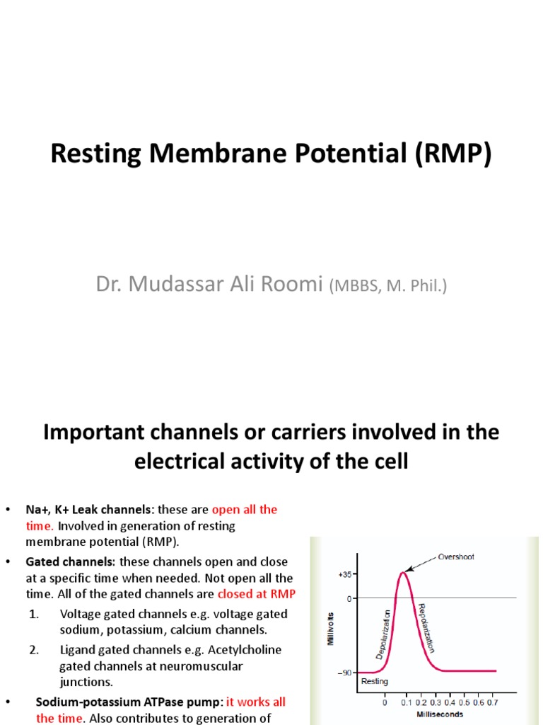 Lecture On Resting Membrane Potential by DR Roomi | Download Free PDF ...