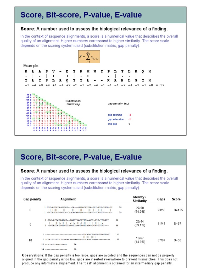 Bioinfo - BLAST - Scores PDF | PDF | Sequence Alignment | Blast