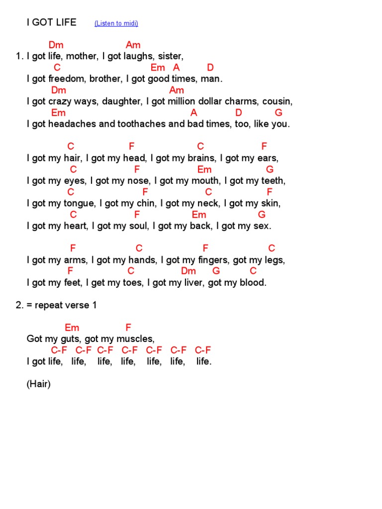 I Got Life - Song Lyrics & Chords | PDF | Language Arts & Discipline | Art
