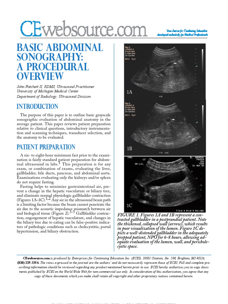 Abdominal Utz | PDF | Liver | Medical Ultrasound
