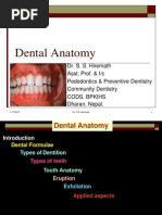 Aging Cattle by Dentition Guide | PDF | Tooth | Dentistry