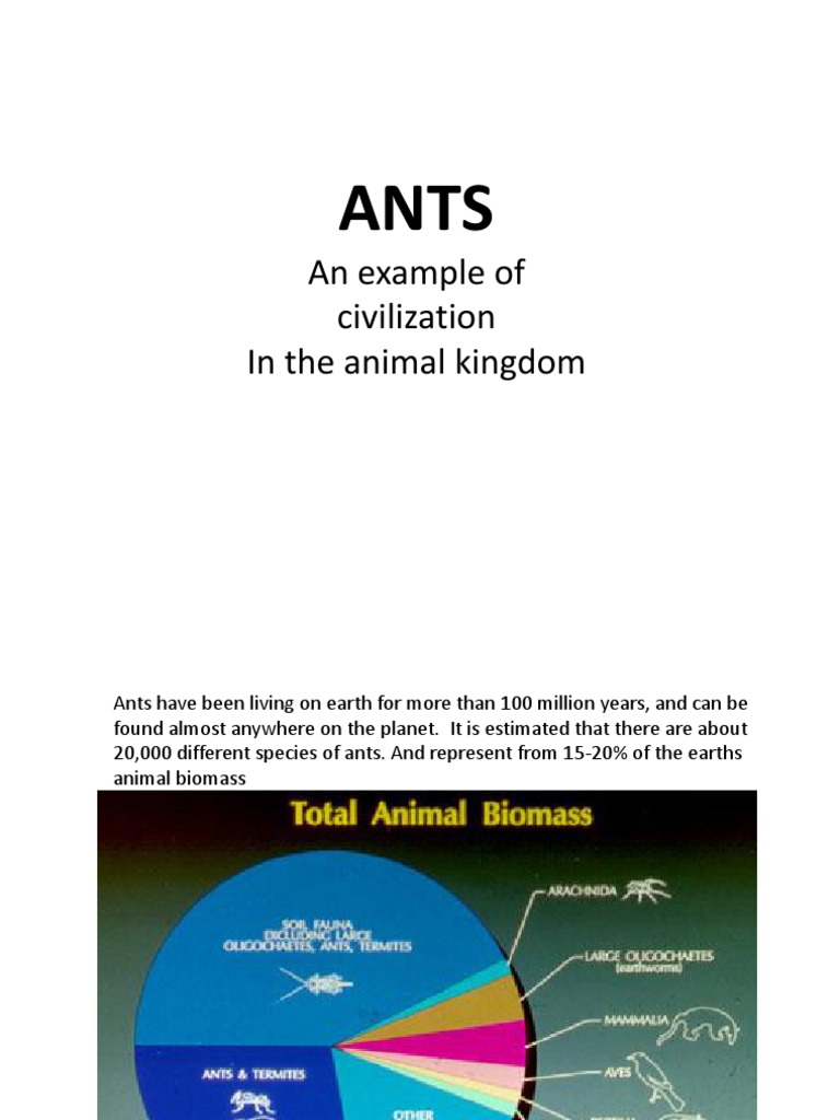An Example of Civilization in The Animal Kingdom | PDF | Ant | Insects