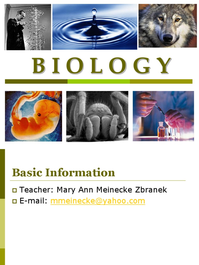 Basic Biology Terms | PDF | Mitosis | Meiosis