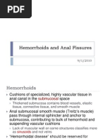 Anatomy and Pathophysiology of Hemorrhoids | PDF | Hemorrhoid | Blood ...