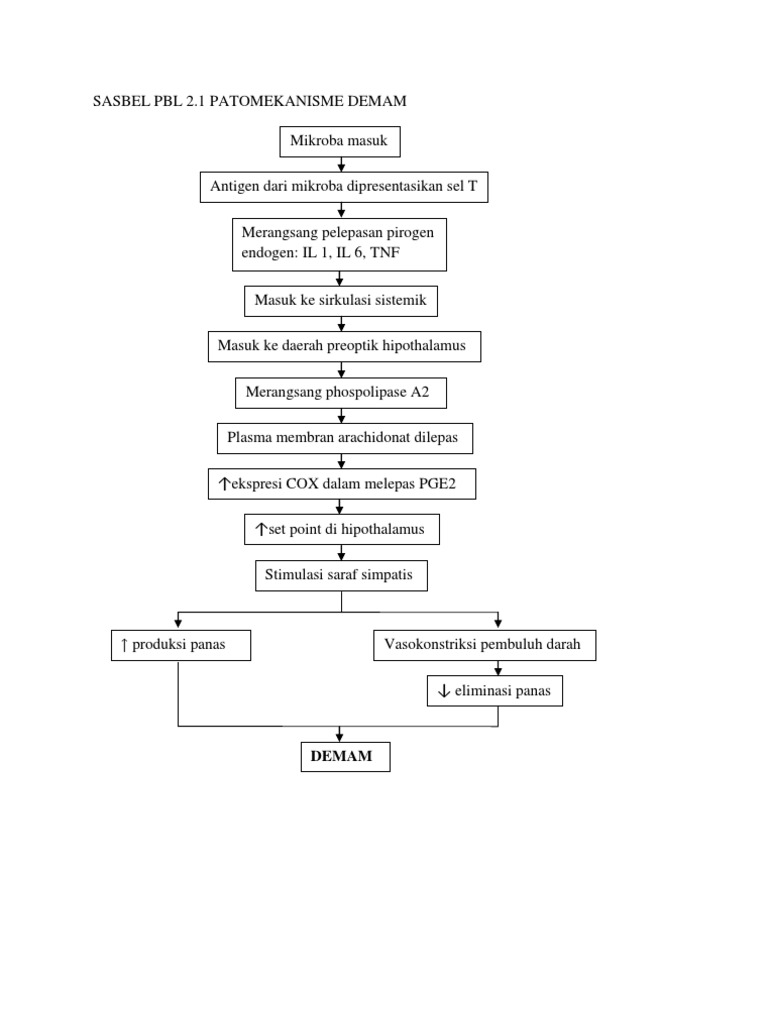 Patofisiologi Deman Tifoid | PDF