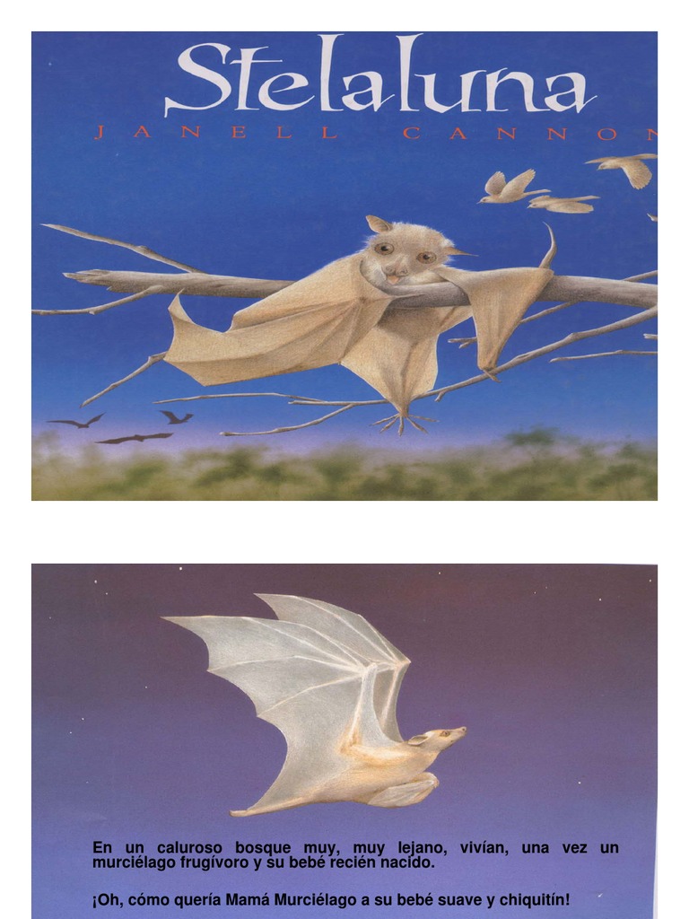 Stelaluna (Cuento Infantil) | PDF | Murciélago | Aves
