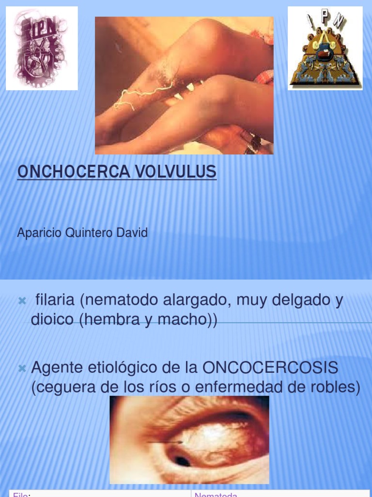 Onchocerca Volvulus | PDF