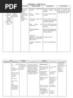 Nursing Care Plan For Cellulitis | PDF | Diseases And Disorders | Medicine