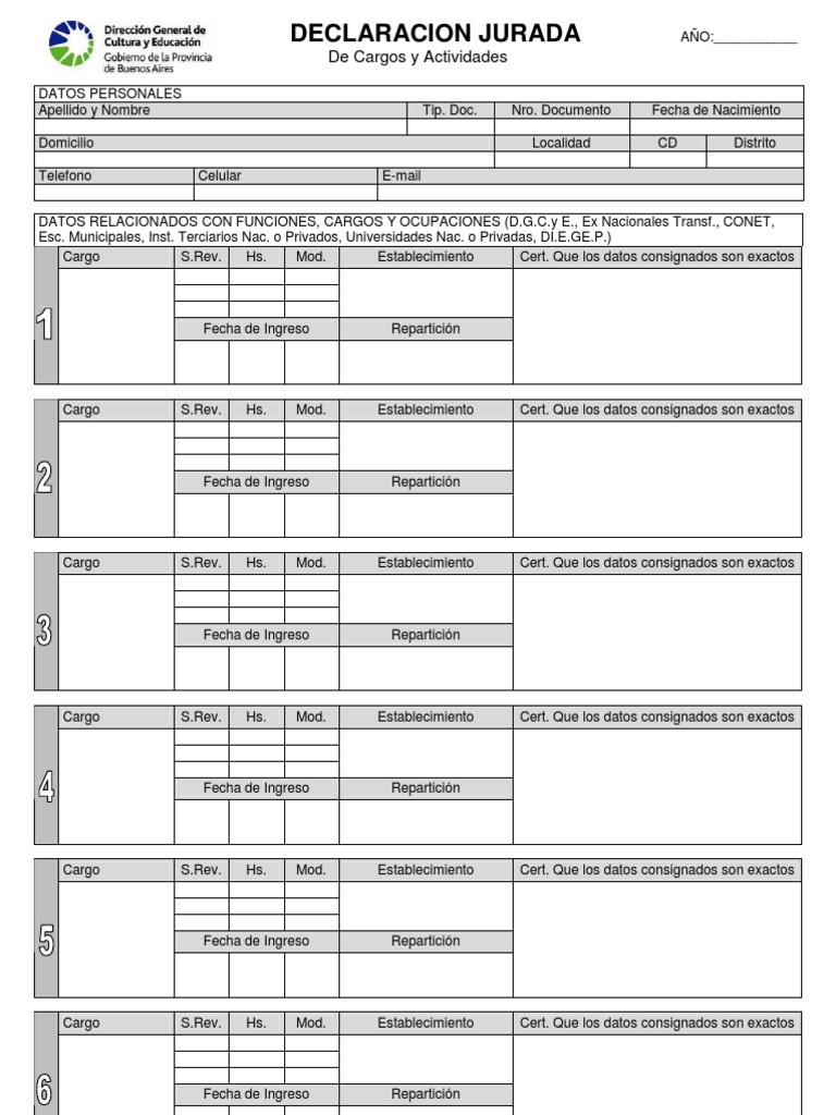 Declaracion Jurada de Cargos y Actividades | PDF | Gobierno