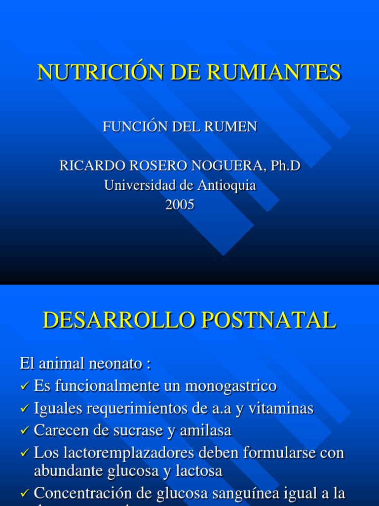 NUTRICIÓN DE RUMIANTES Funcion Del Rumen | PDF | Rumiante | Mamíferos