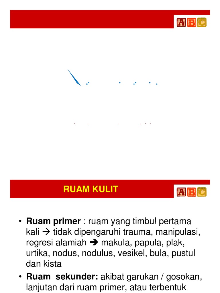 Panduan Lengkap Ruam Kulit | PDF