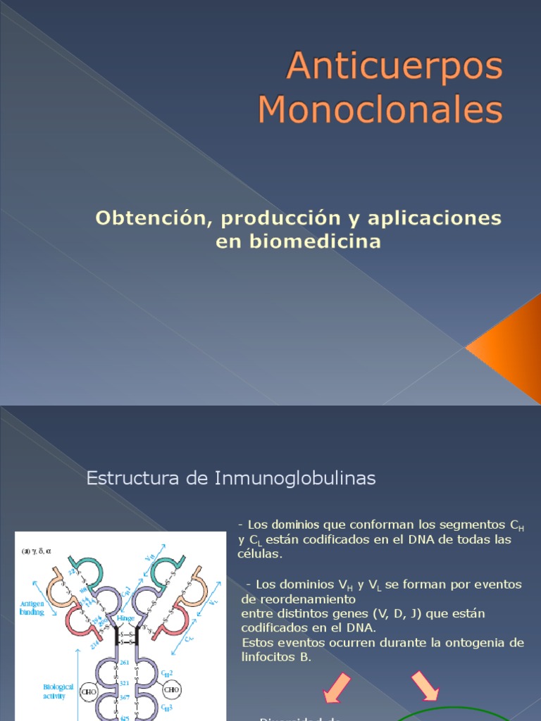 Anticuerpos Monoclonales | PDF | Anticuerpo Monoclonal | Anticuerpo