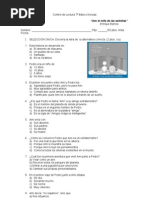 Prueba Ami El Niño de Las Estrellas | PDF