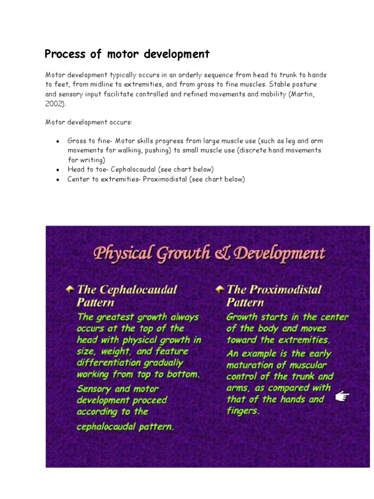 Process of Motor Development | PDF | Anatomical Terms Of Motion | Hand