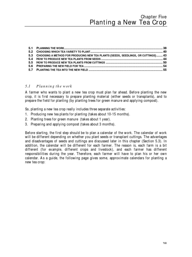 Propagation of Tea | PDF