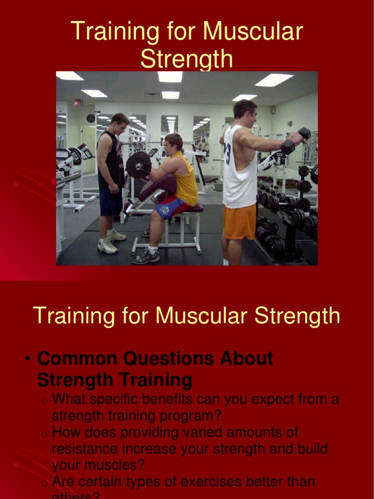 3 Training For Muscular Strength 1 5 1 2 | PDF | Strength Training | Muscle