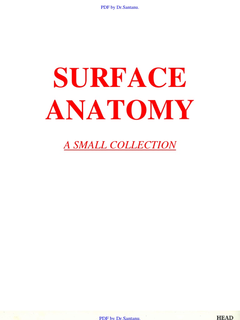 Surface Anatomy Collection by Dr. Santanu | PDF