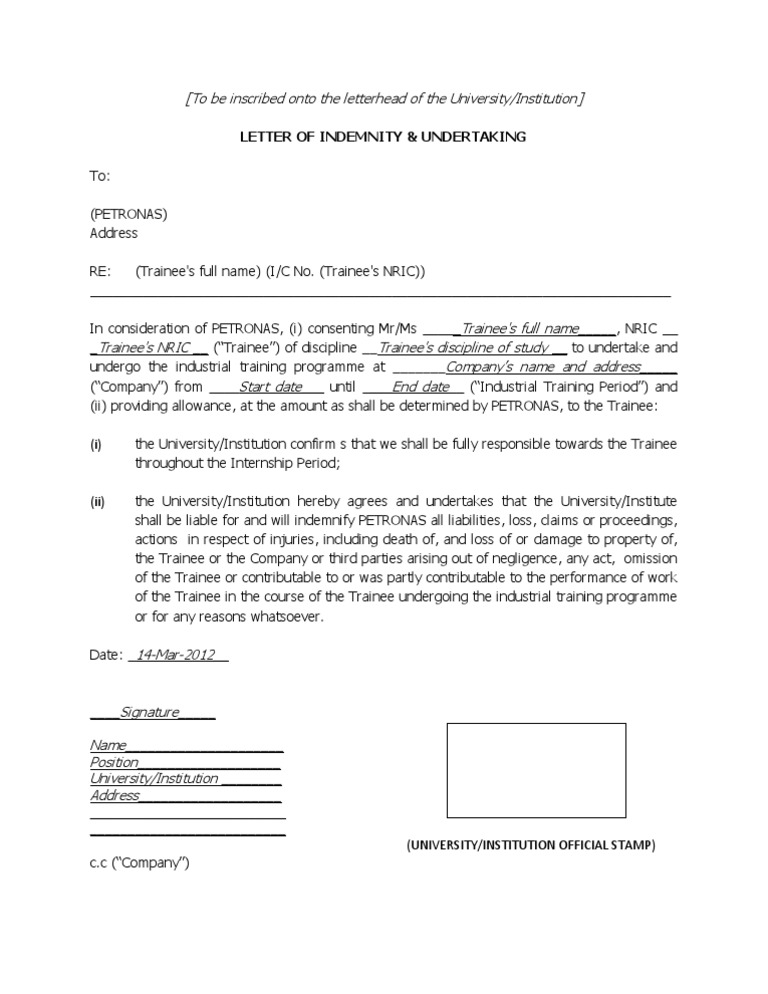 Letter of Indemnity & Undertaking | PDF