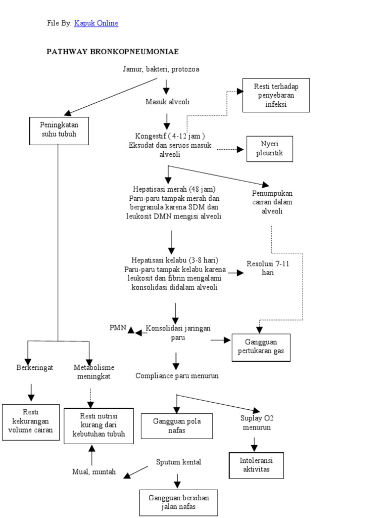 Pathway Bronko Pneumonia e | PDF