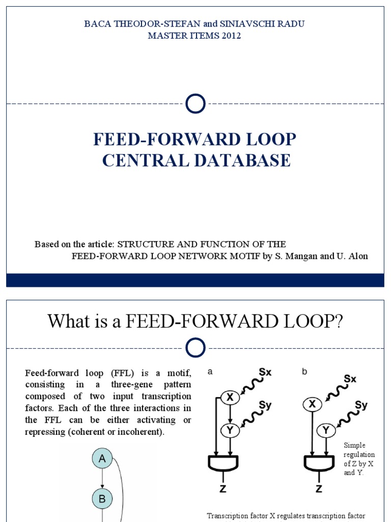 Feed Forward Loop | Transcription Factor | Regulation Of Gene Expression