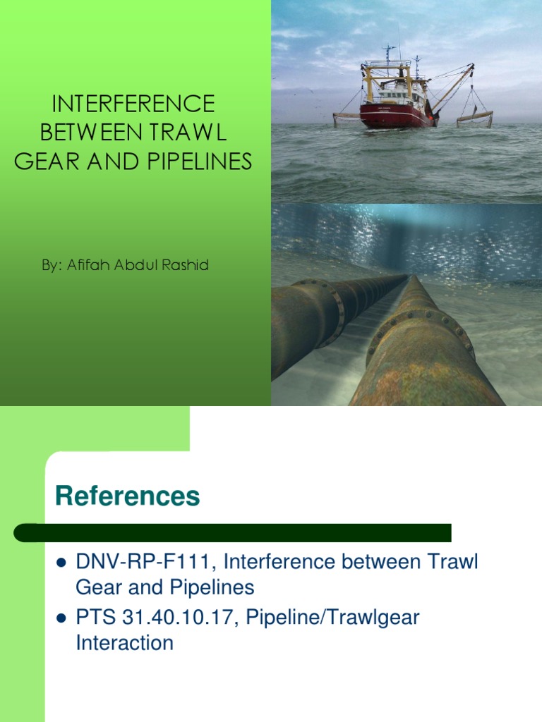 Trawl Impact | PDF | Trawling | Fishing Trawler