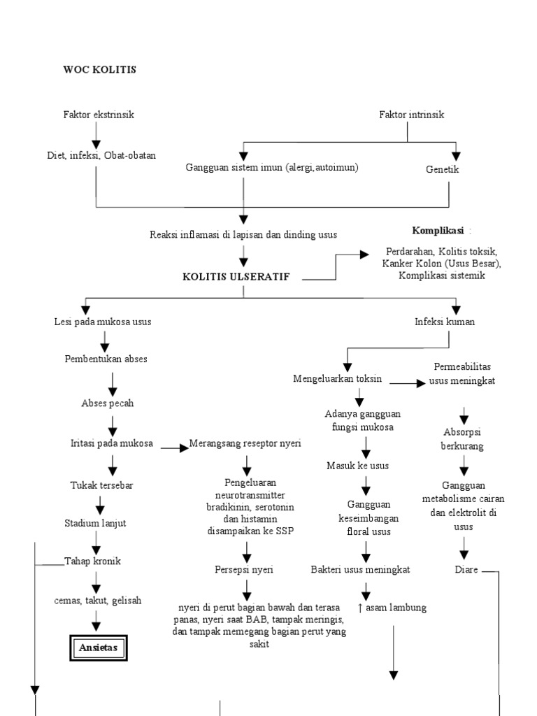 Kolitis | PDF