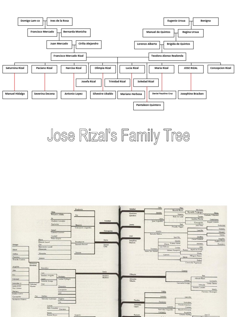 Rizal's Family Tree | PDF | Philippines | Luzon