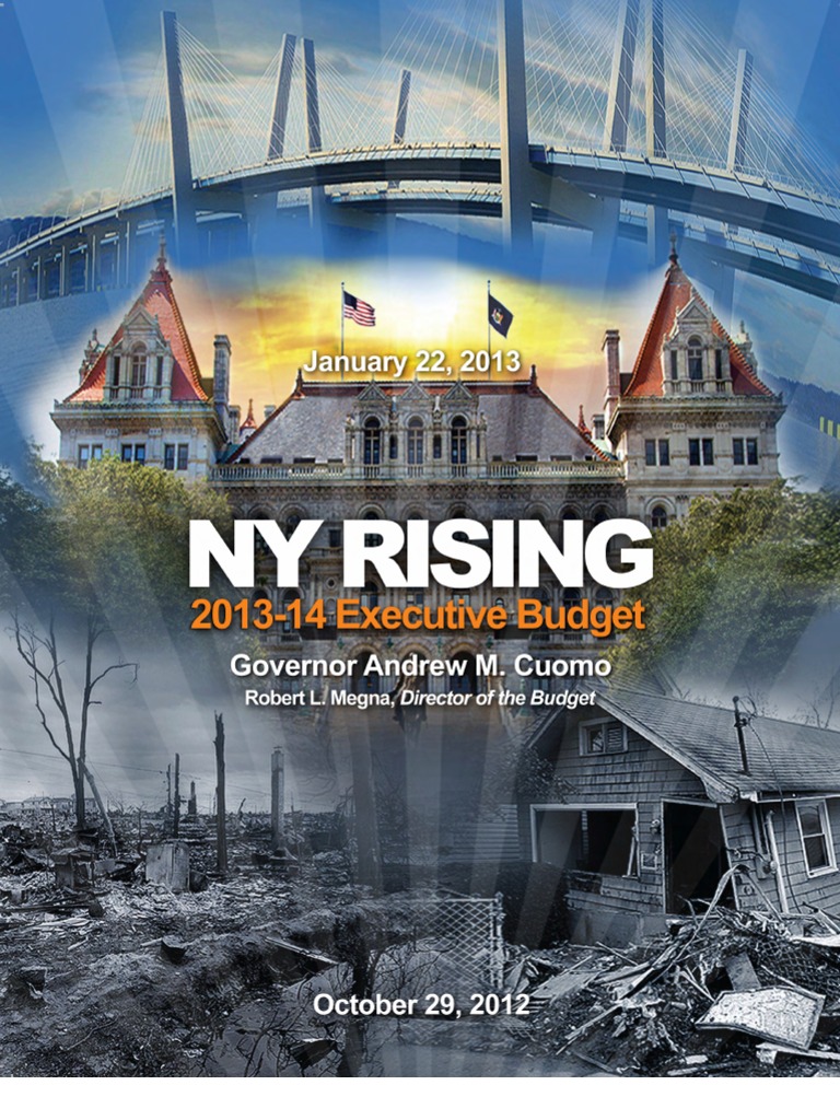 Briefing Book | PDF