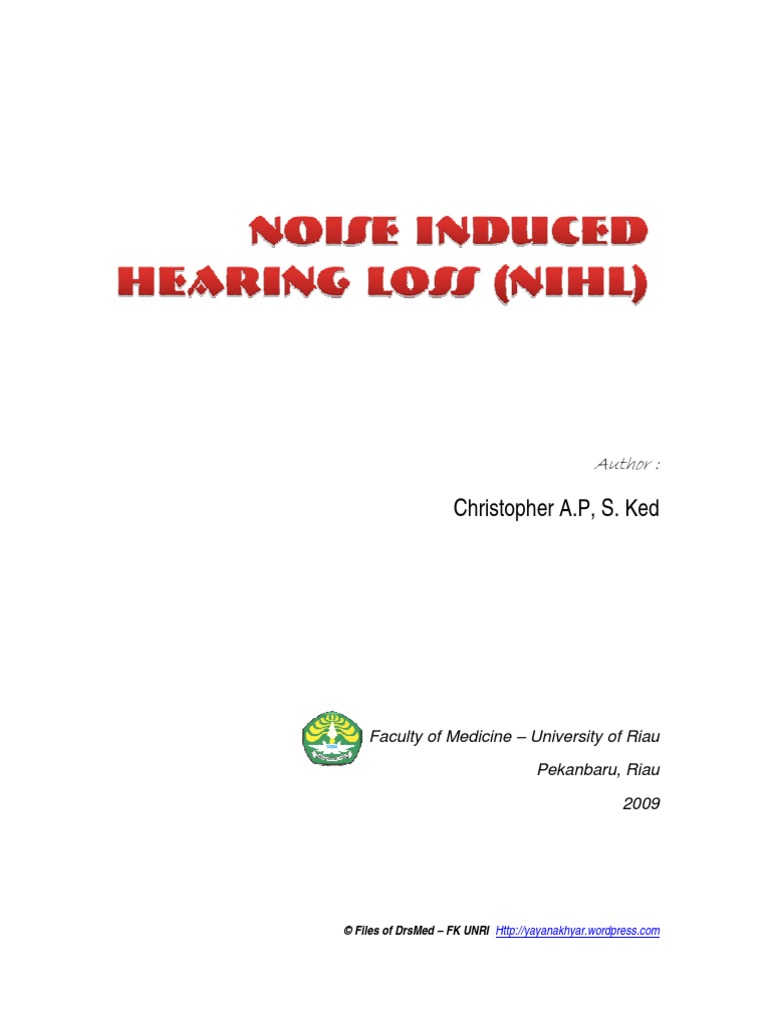 Noise Induced Hearing Loss | PDF